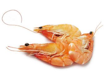 Frozen shrimps head on shell on or peeled - Channel Sea Food